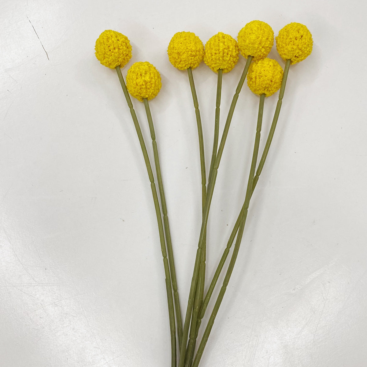 BILLY BUTTON BUNCH - YELLOW – HOME THYME